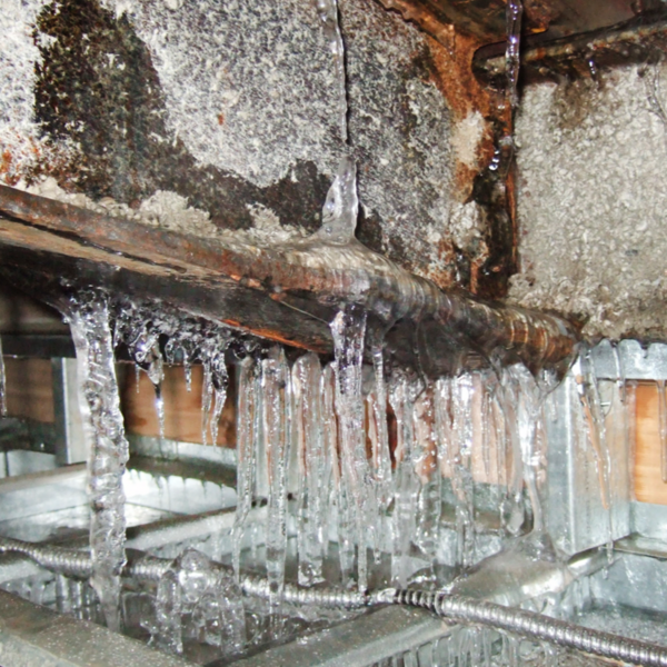 Monitor These Nine Vital Signs To Avoid Widespread Mold Problems In ...