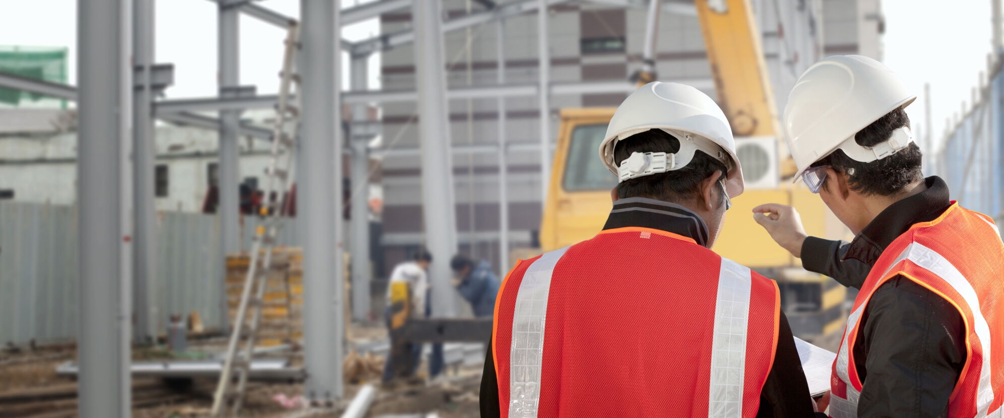 Building Forensics Expert Witness - Building Forensics Group