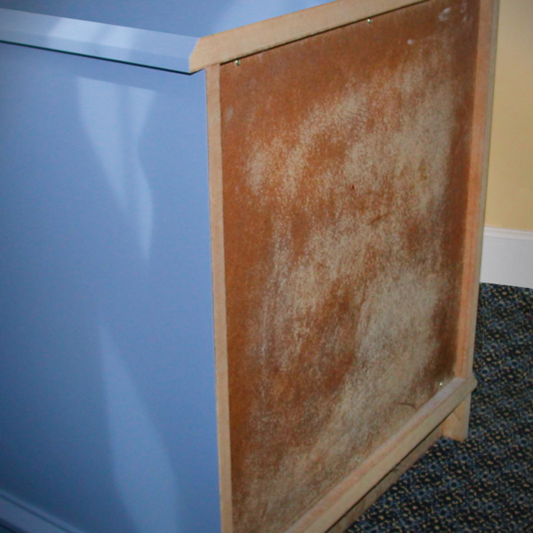 Monitor These Nine Vital Signs To Avoid Widespread Mold Problems In ...
