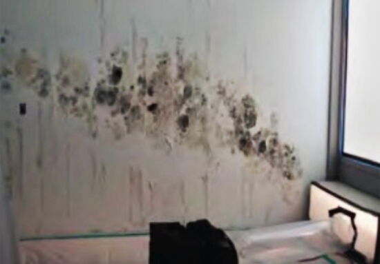 Monitor These Nine Vital Signs To Avoid Widespread Mold Problems In ...