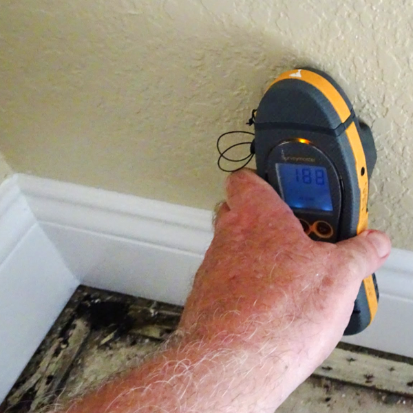 Monitor These Nine Vital Signs To Avoid Widespread Mold Problems In Your Building - Building ...