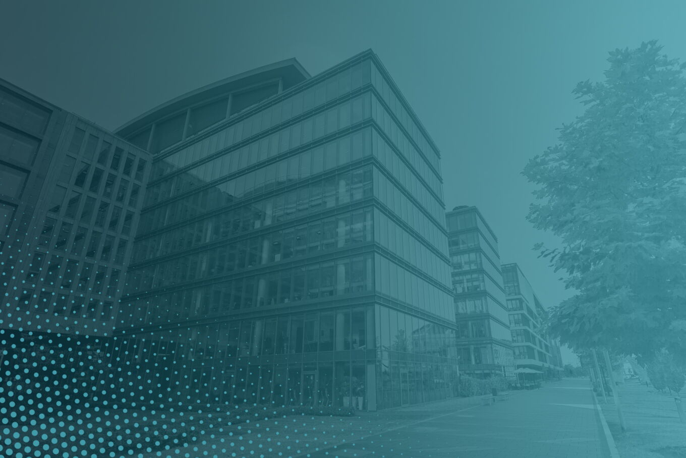 Insights and Case Studies - Building Forensics Group