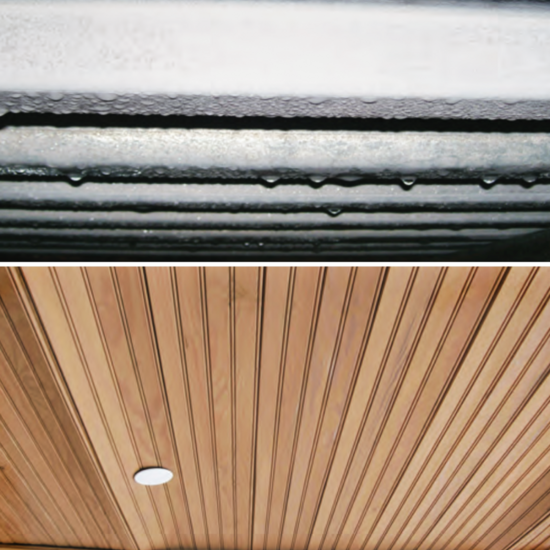 Monitor These Nine Vital Signs To Avoid Widespread Mold Problems In ...