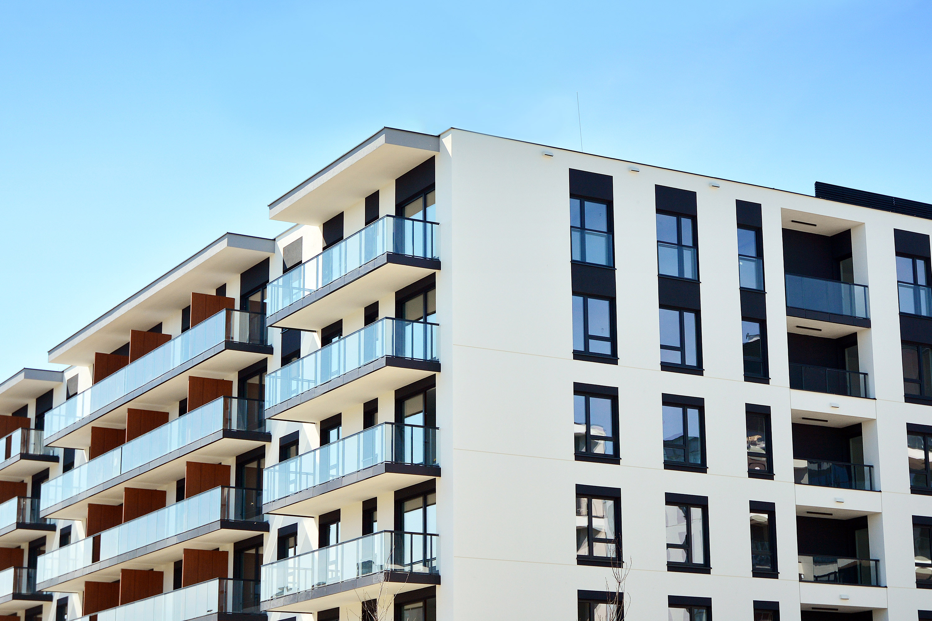 How to Protect Yourself from Hidden Mold Problems During a Purchase of a Hotel - Building ...